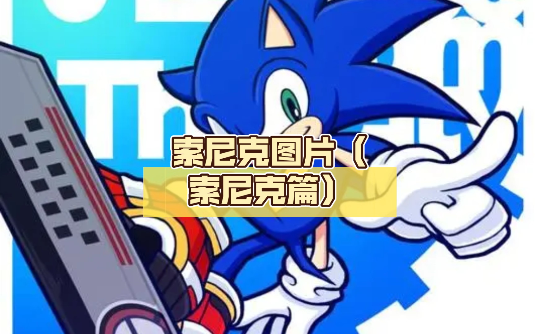 索尼克图片(索尼克篇)