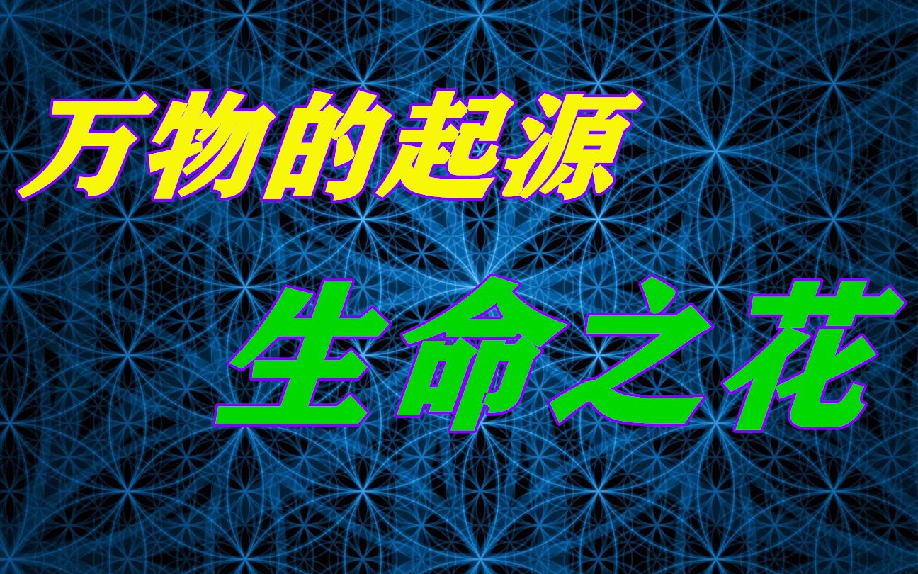 宇宙起源与生命形成,生命之花的几何图形,都有身影在其中