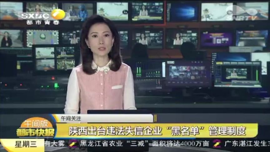 一处违法,处处受限!陕西出台违法失信企业“黑名单”管理制度