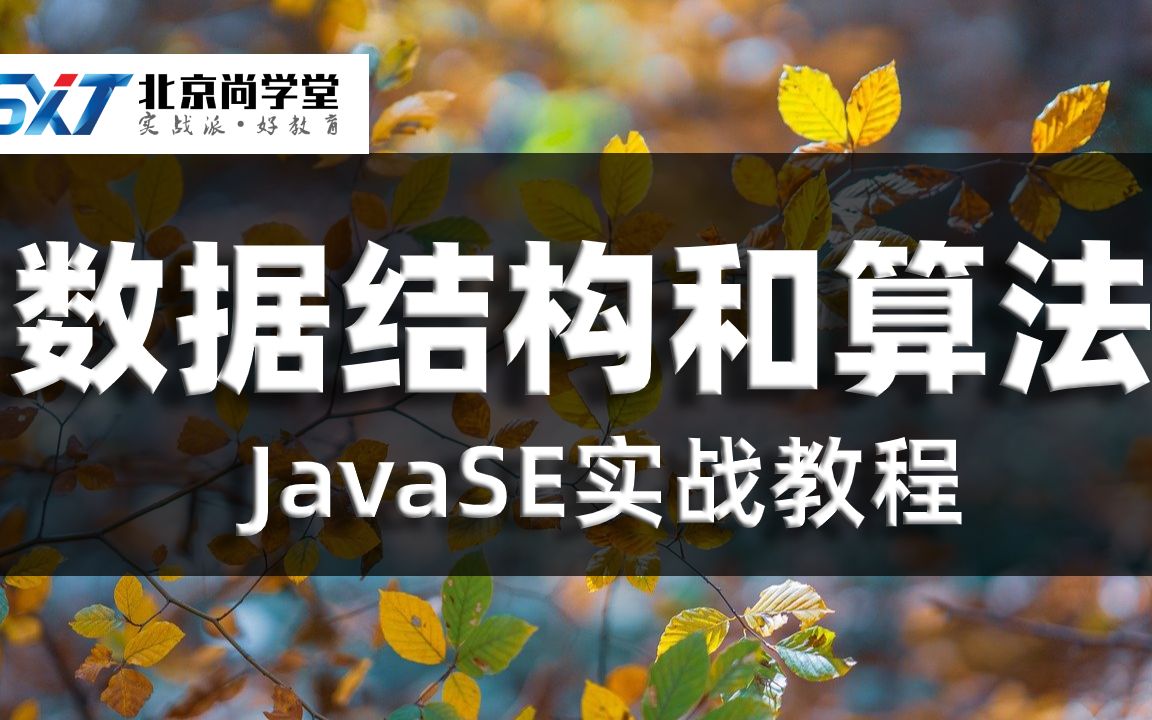 JavaSE数据结构和算法教程_Java系列技术之数据结构与算法视频教程...