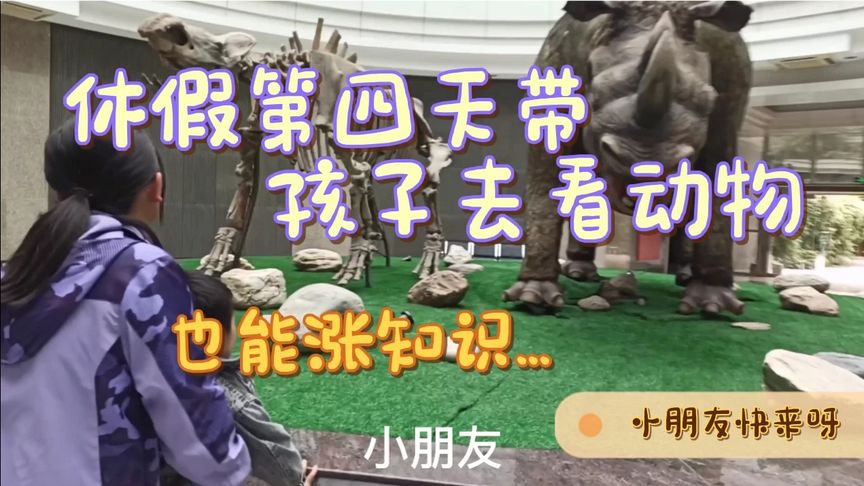 休假带孩子去看动物,大朋友小朋友快来看!