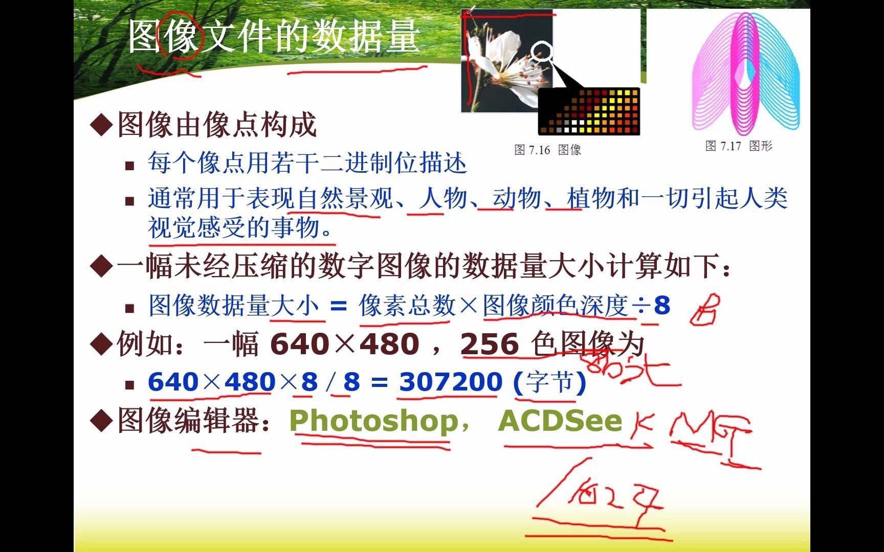 图像编码2 -矢量图形