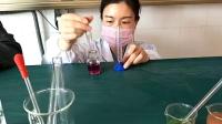 试卷(五)实验二:比较不同果蔬中维生素C的含量
