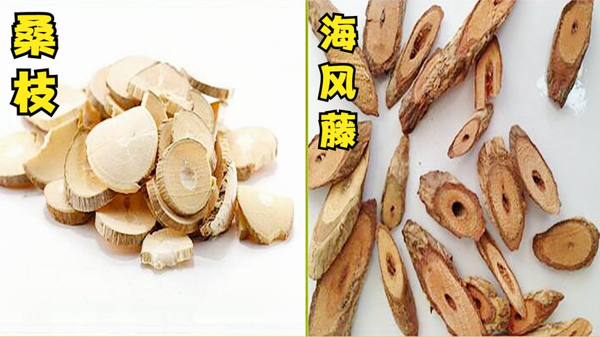 2021执业药师资格考试-中药学专业知识二-桑枝、海风藤主治功效