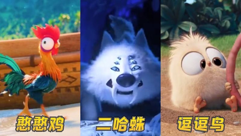 萌宠比憨现场,你觉得哪一个最憨憨憨鸡连大海都嫌弃