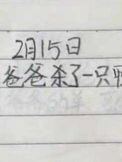 弟弟假期日记曝光,鸡鸭每天都瑟瑟发抖