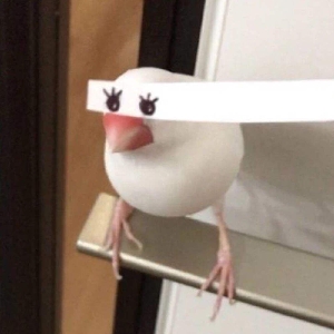 大碗不是大腕儿 