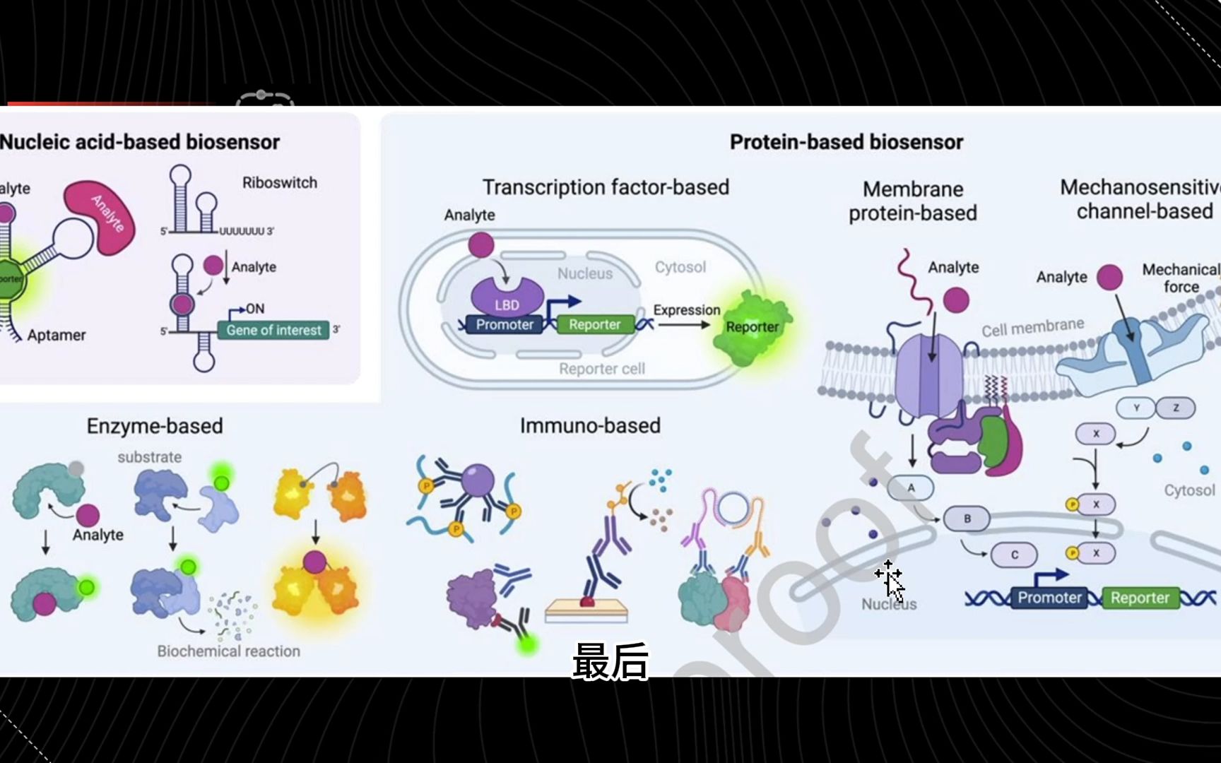 ...生物学进展 2023.11.18 小分子生物传感器及其在代谢工程中的应用。