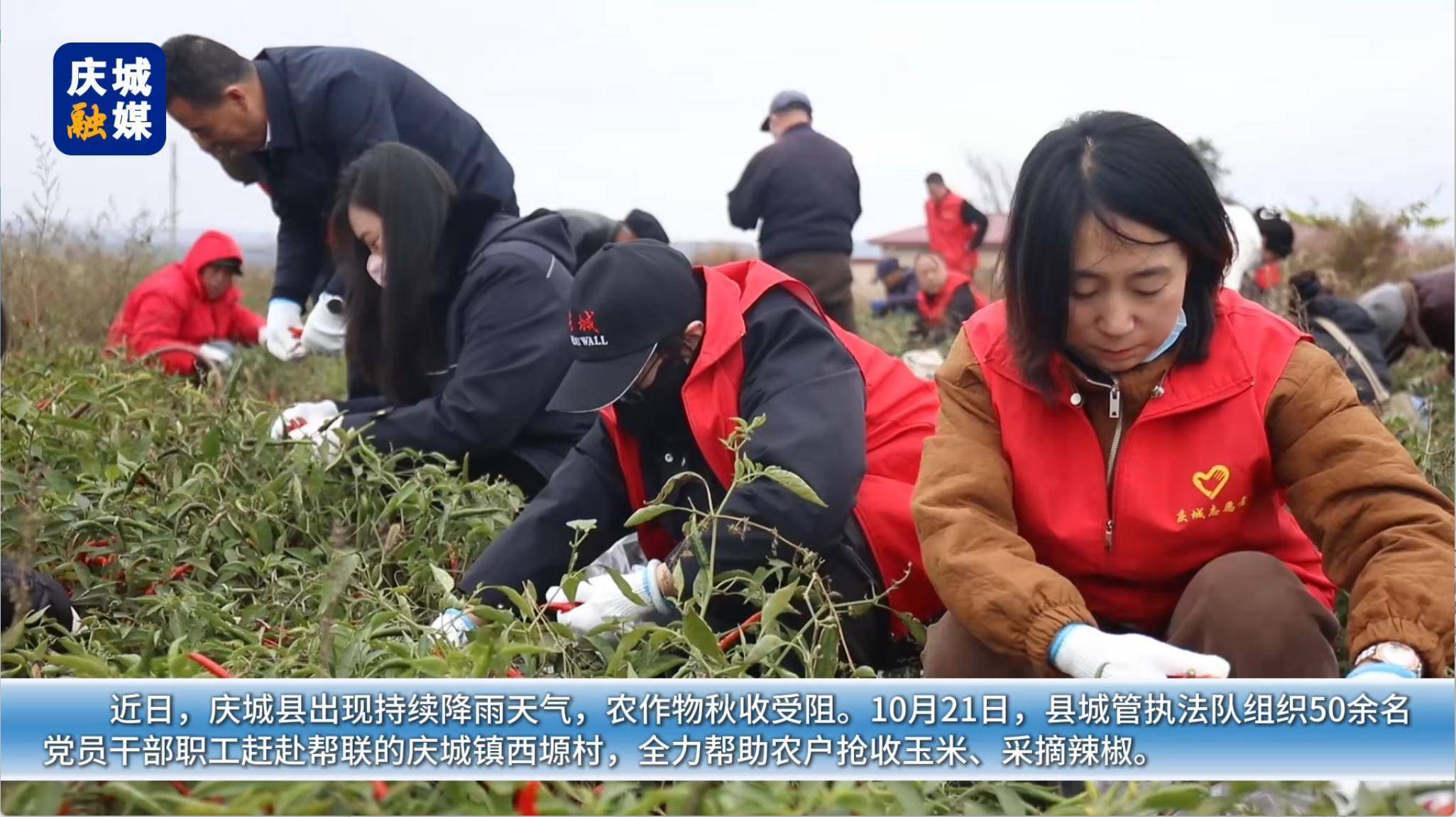庆城县城市管理综合行政执法队开展秋收助农行动