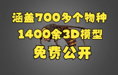 【建议收藏】超1000种三维模型免费公开!涵盖700余物种!