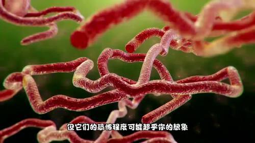 全球最致命病毒揭秘!它曾让人类陷入绝望,至今仍无解药