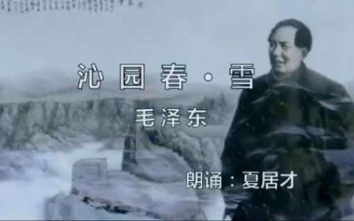 【诗朗诵】《沁园春·雪》一代伟人的气魄