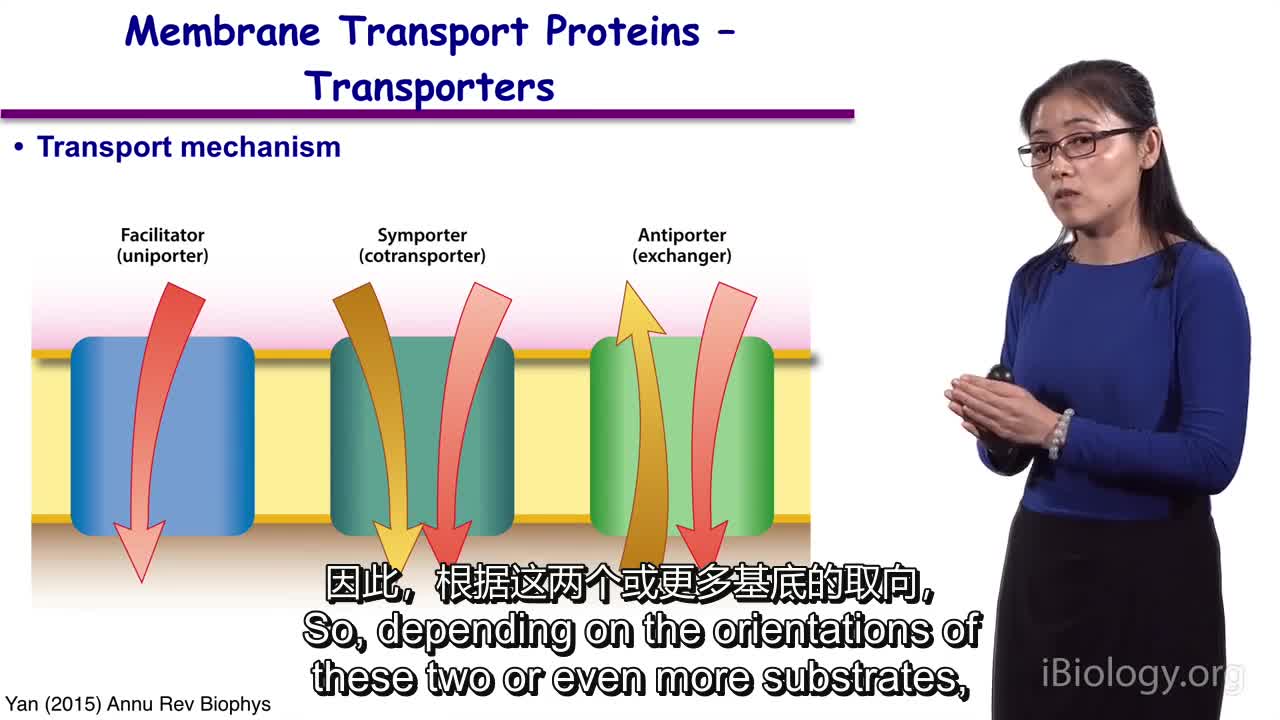 Nieng Yan (Tsinghua University) 1 膜转运蛋白简介