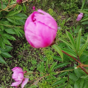 美美简单 