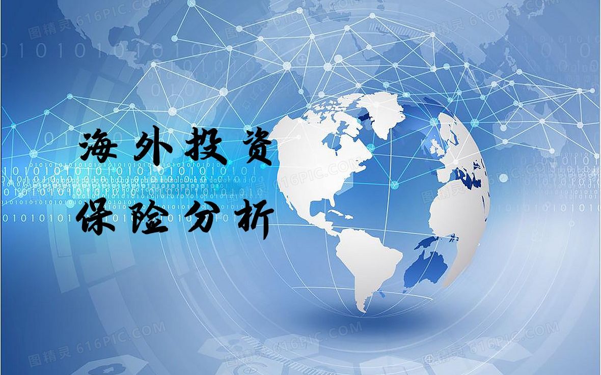海外投资保险分析