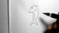 简笔画教程，海豚的快速画法简单易学，小朋友们学会了吗？