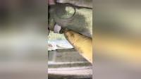 丰田霸道传动轴十字轴都磨损坏了
