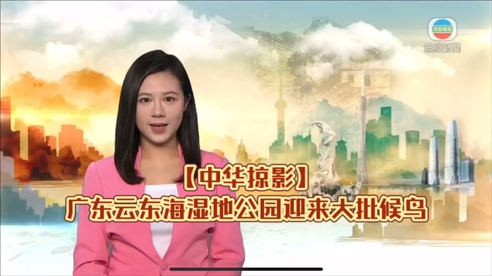 (TVB新闻)【中华掠影】广东云东海湿地公园迎来大批候鸟