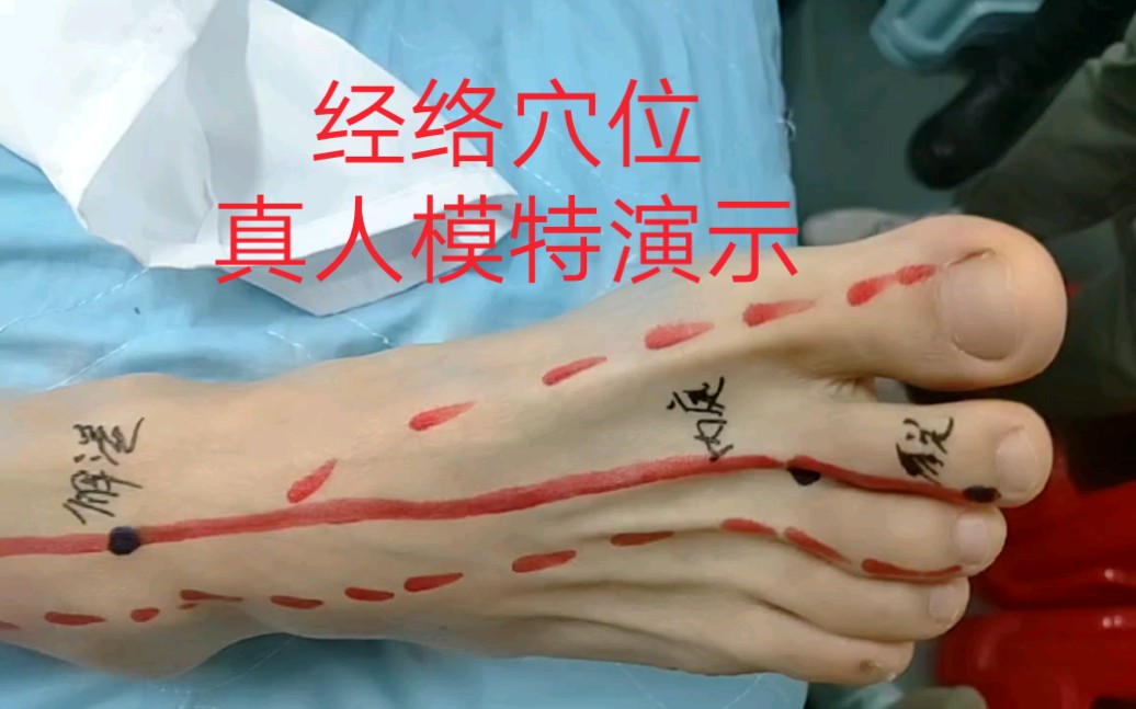 经络穴位真人模特演示