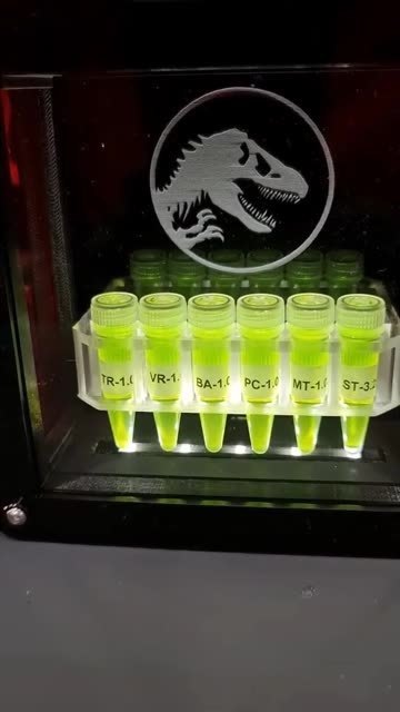 详细记录实验数据,科学分析得出结论