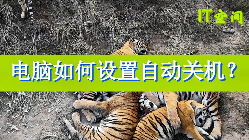 电脑如何设置自动关机呢?