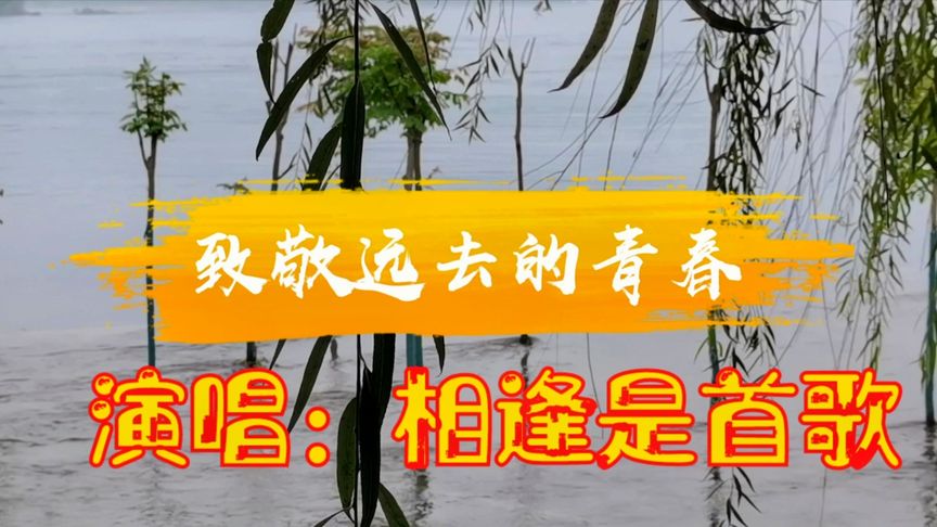 野鸭戏水,燕子翻飞,柳枝婀娜多姿,如水墨画般的风景,还有惊喜