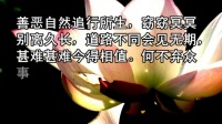 第0024部 佛说无量寿经卷下 文字版