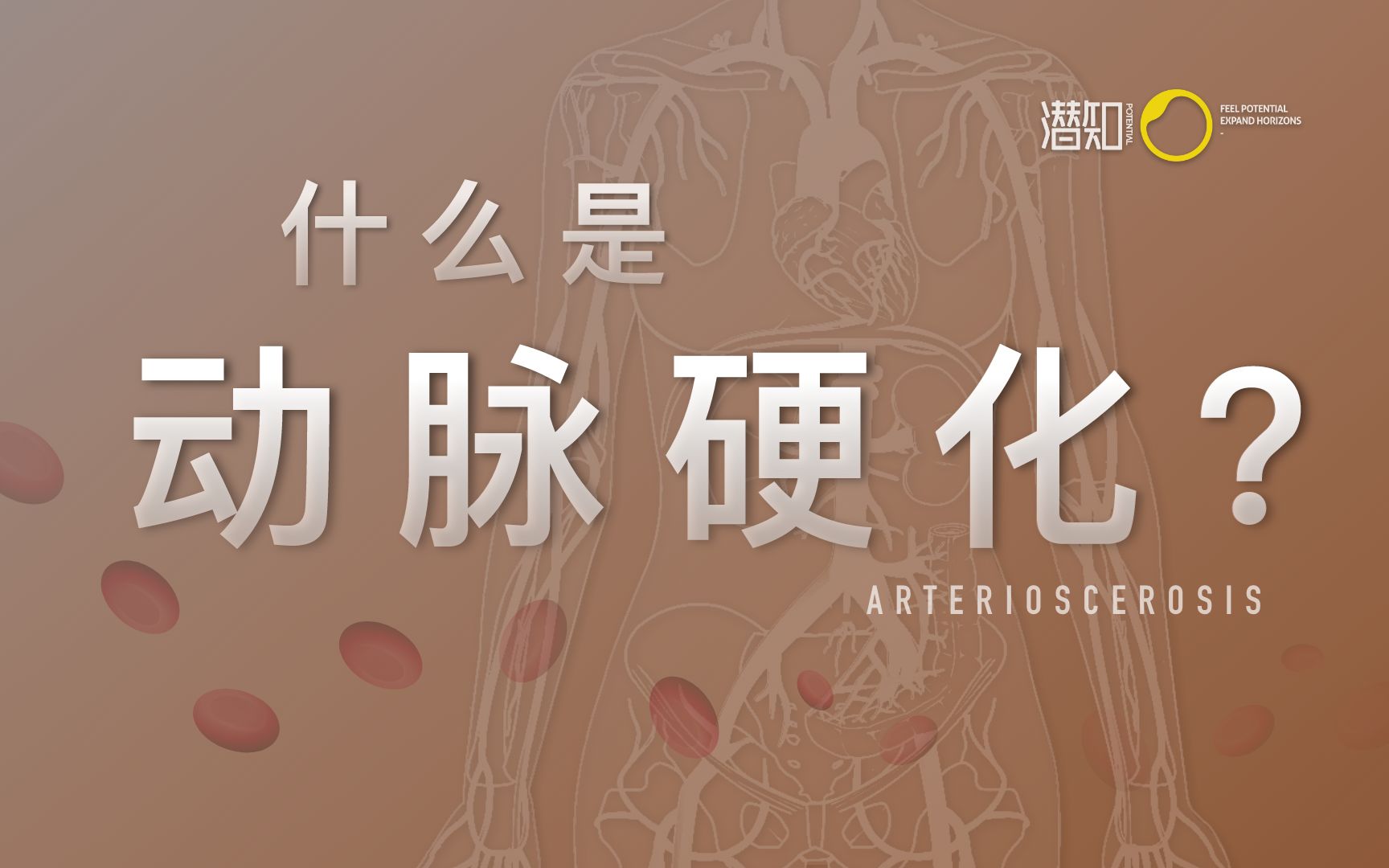 什么是动脉硬化?