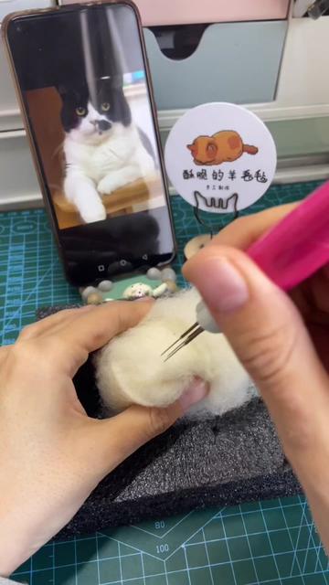 随缘更新手工diy,羊毛毡,戳戳乐