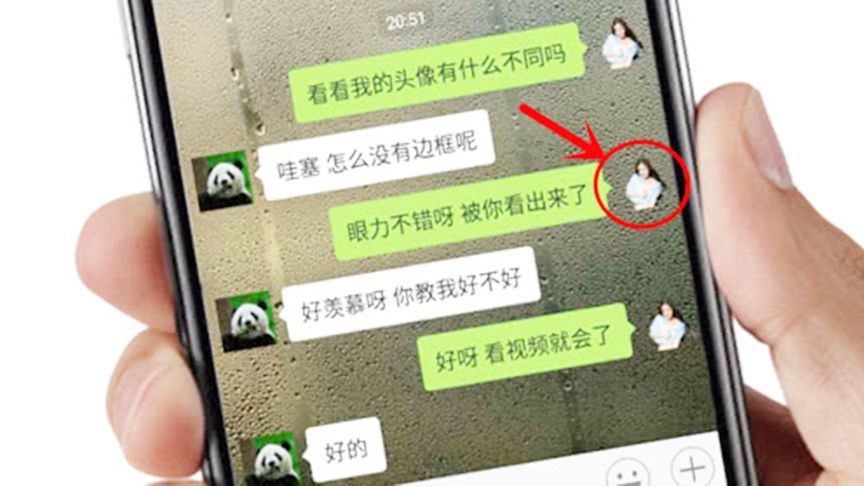 微信头像可以设置成无边框了,非常个性又好看!