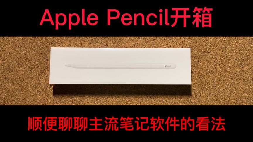 Apple Pencil开箱,聊聊主流笔记软件的看法