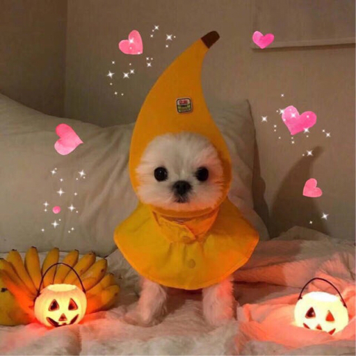 奶茶半糖去冰加珍珠 