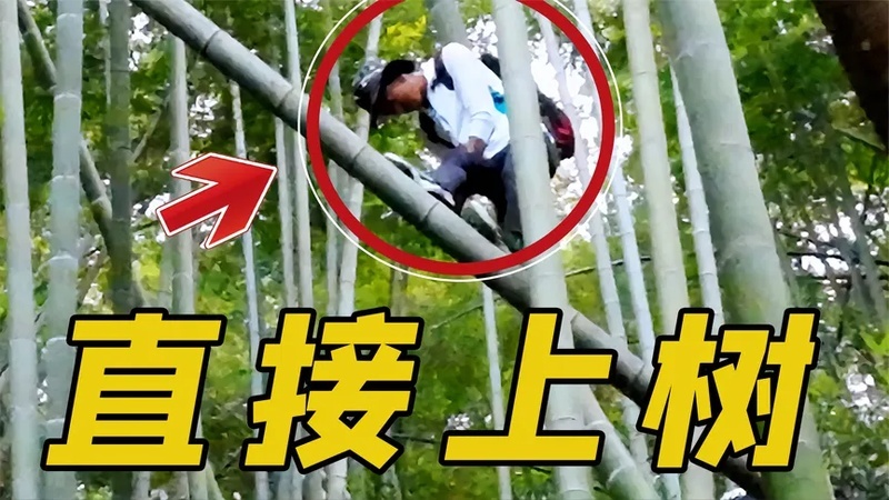 网红美女为了拍照,能有多拼
