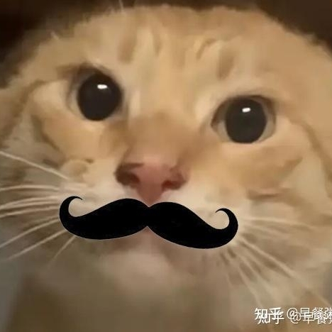 耄耄耋die 