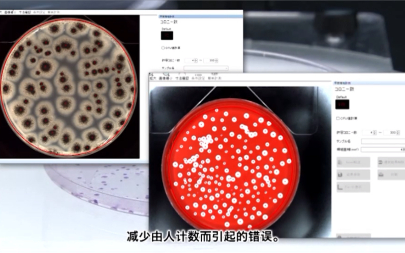 高精度的自动菌落计数仪