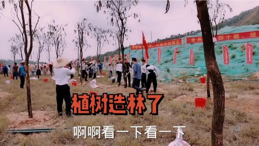 春季植树了到了:植树造林了