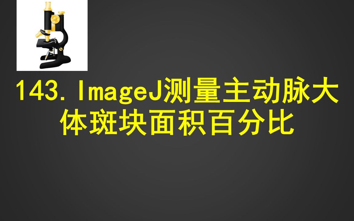 143.ImageJ测量主动脉大体斑块面积百分比