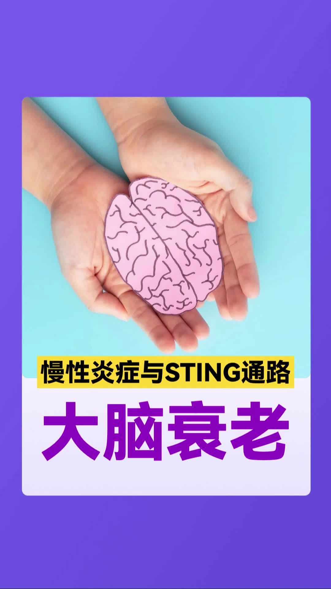 为什么年纪越大脑子越不好使?如何才能延缓大脑衰老、阻止神经退行...