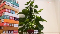 清廉宣传视频