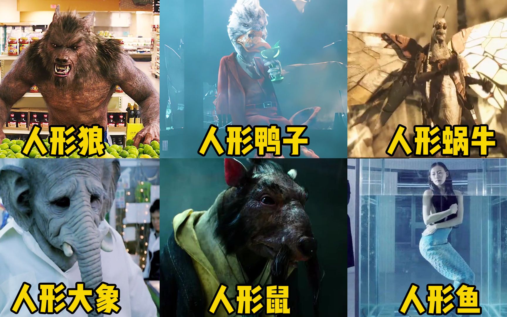 这六只电影里的人形动物,你觉得哪个更厉害?人形大象还会喝闷酒