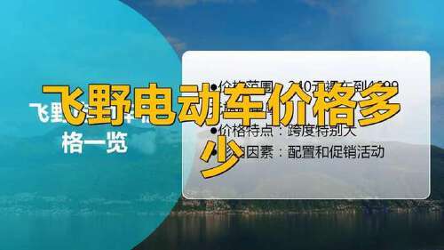 惊爆价!飞野电动车真实价格揭秘,别再买贵了!