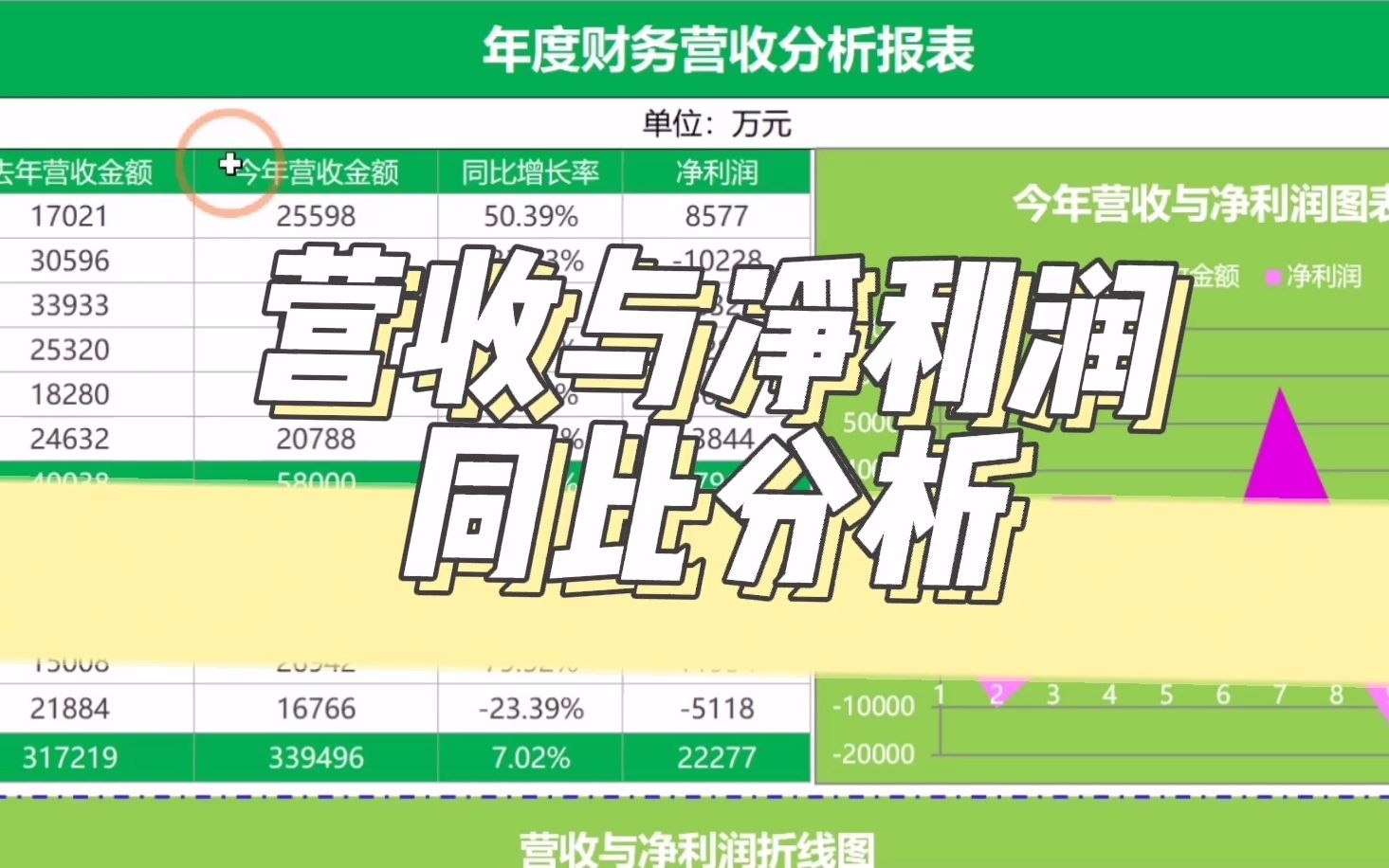 营收与净利润同比分析