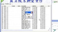 域名批量查询软件