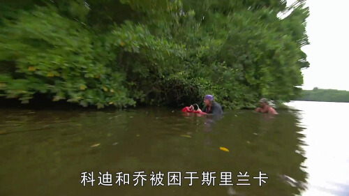 设置陷阱,乘着木筏,逃避鳄鱼,荒野求生