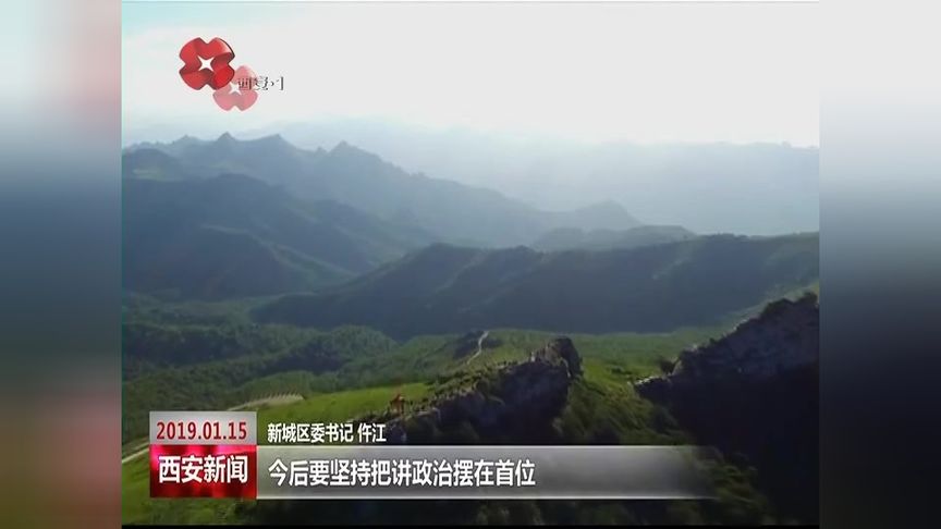 以最高的政治担当 坚决做到“两个维护” 深入践行“两山”理念