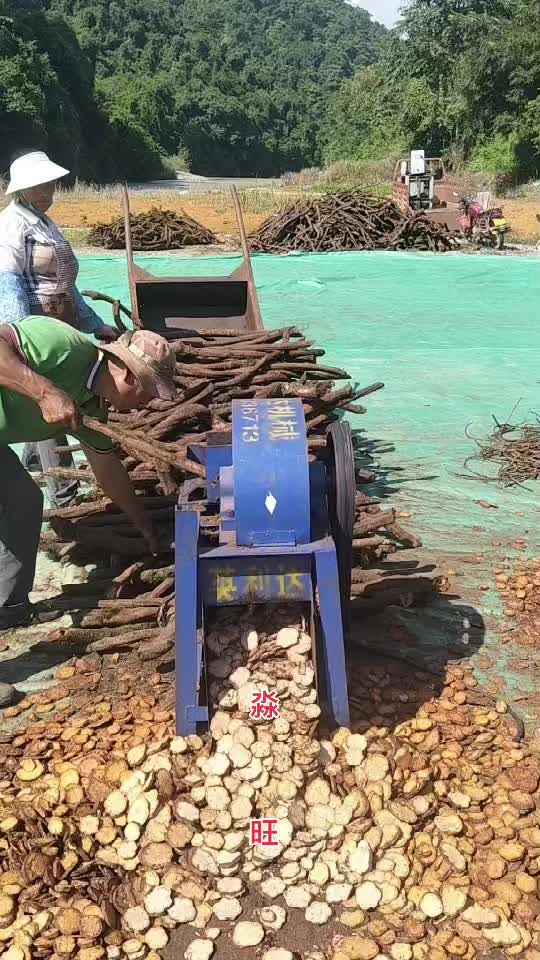 鸡血藤切片机#红藤切片机 #海风藤切片机#白术切片机 #金刚藤切片机 ...