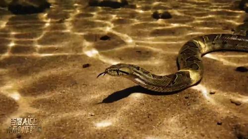 催眠光斑竟是风速计?盯着看的人都在默默计算!