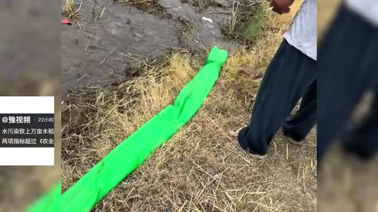 蚌埠农田灌溉疑受污染,损失农时,检测结果:两项水质指标超标