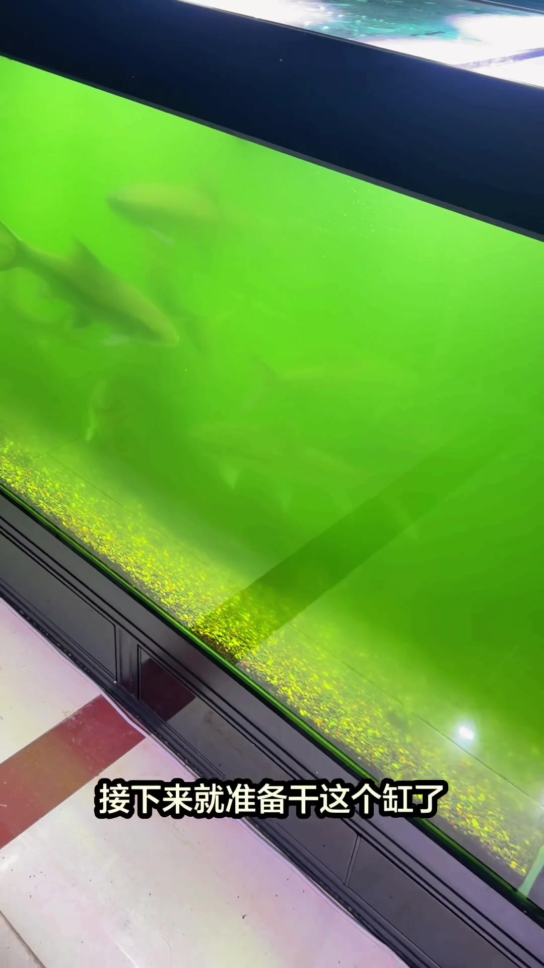 兄弟们,UV杀菌灯如何使用,效果如何… 我用3天的时间来记录,到底好不...