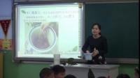 植物栽培 -小学综合实践优质课(2018)